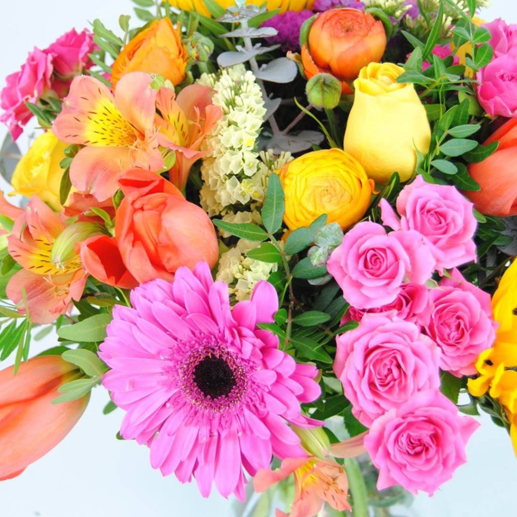 Tulipanes: guía completa - Original Flor - Envío de Flores