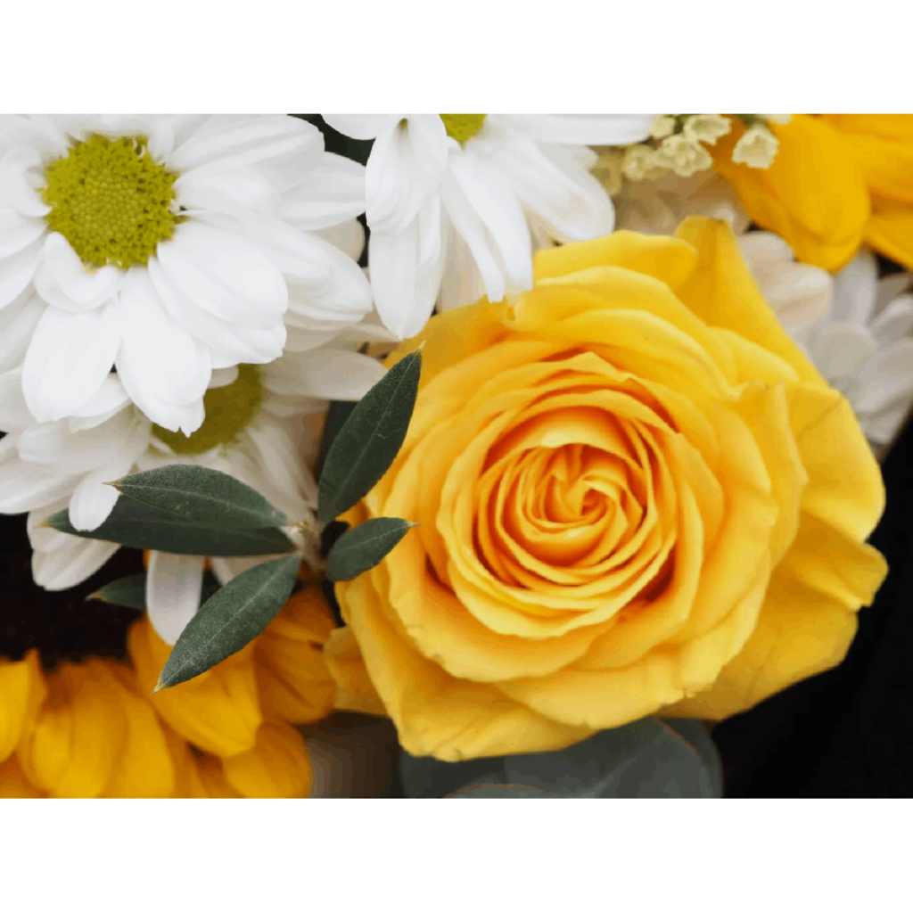 Ramos de Girasoles a Domicilio | Envíos en 24h | OriginalFlor