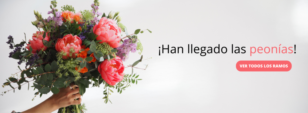 Comprar Ramo de Peonías: Guía Completa para Elegir el Ramo Perfecto - Original Flor - Envío de ...